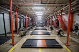 Home | Springfield Health and Fitness